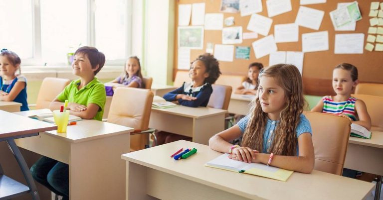 5 actividades divertidas para el regreso a clases 2026 - La tienda del ...